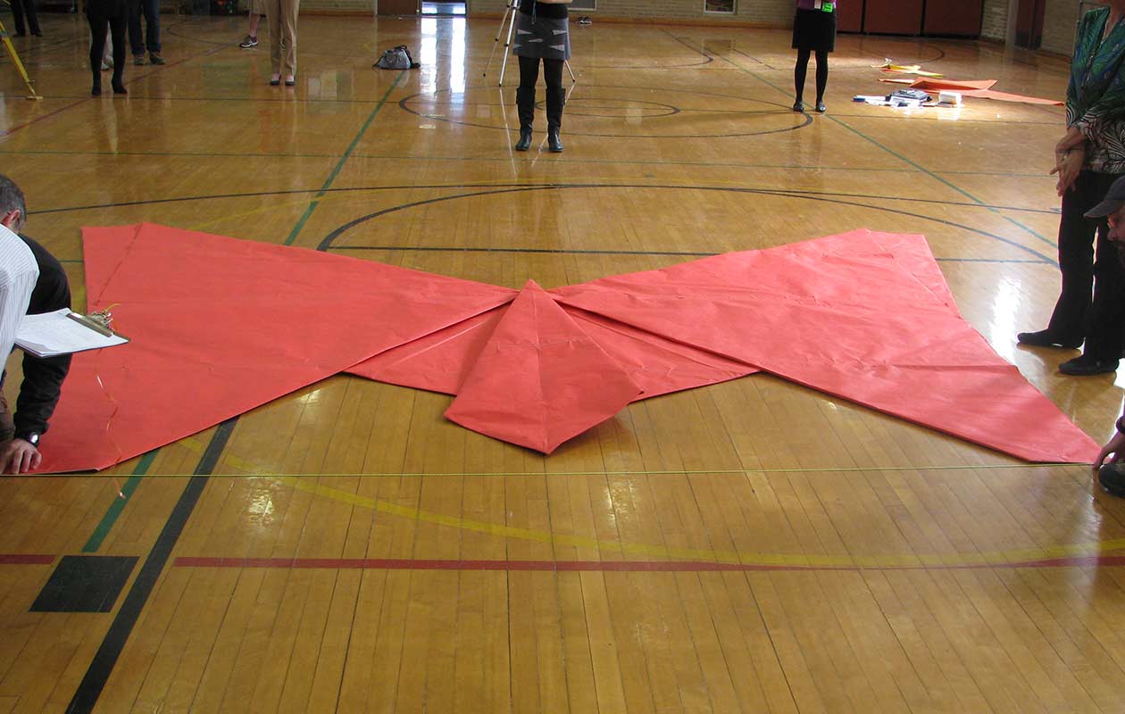 Largest origami butterfly | Guinness World Records