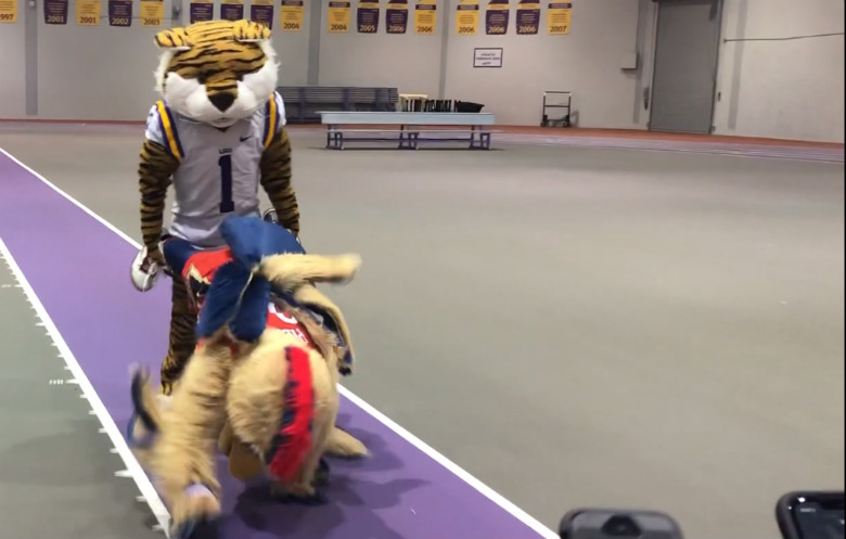 Fastest 50 m by a mascot wheelbarrow | Guinness World Records