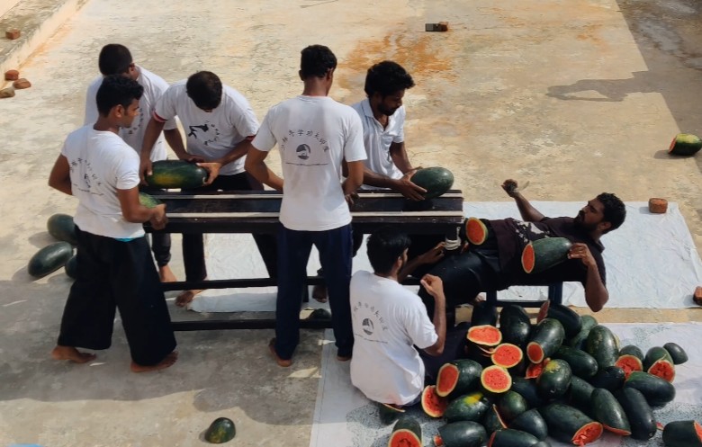 Most watermelons self chopped on the stomach in one minute | Guinness ...