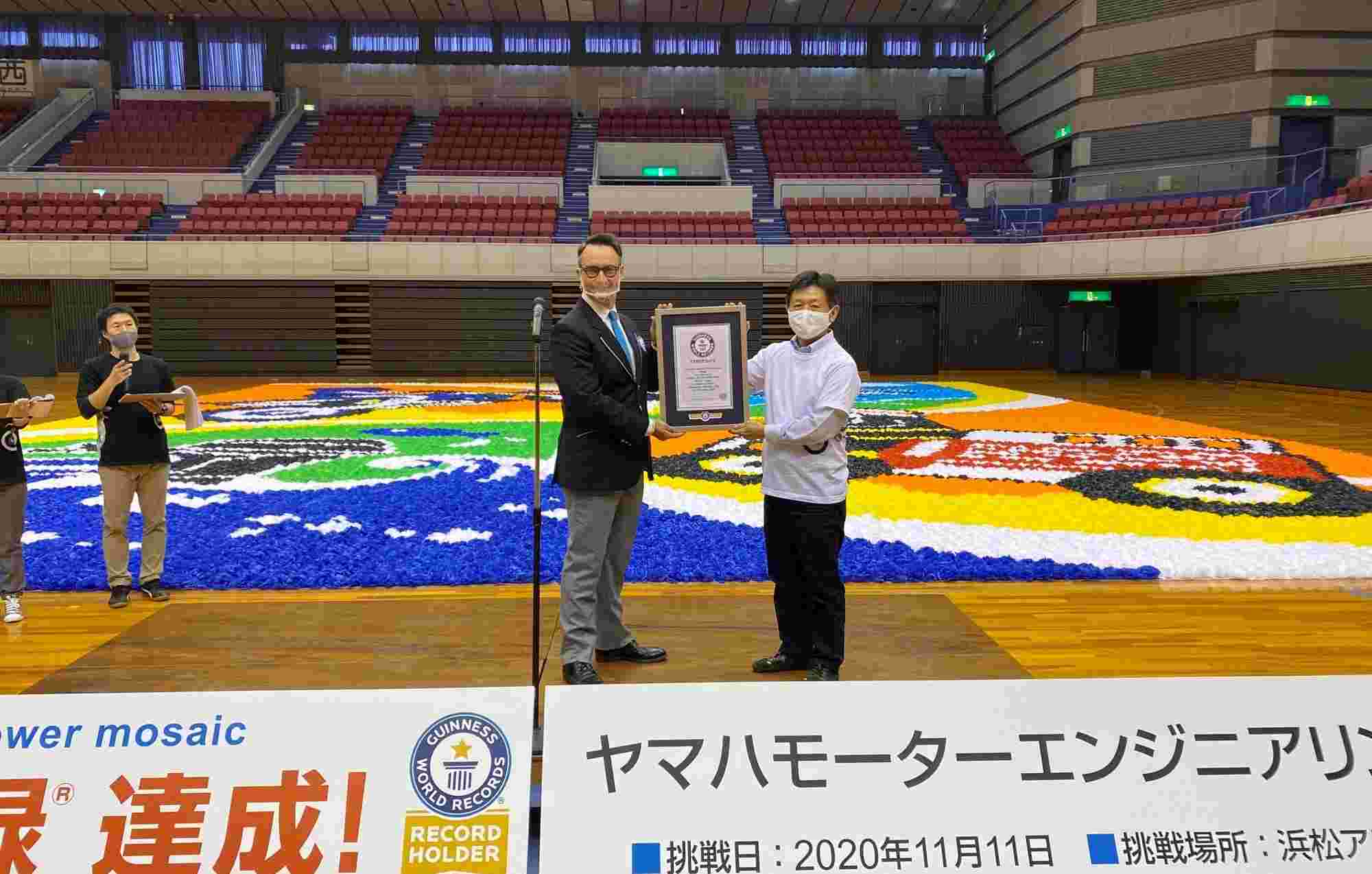 Largest pom pom paper flower mosaic (image) | Guinness World Records