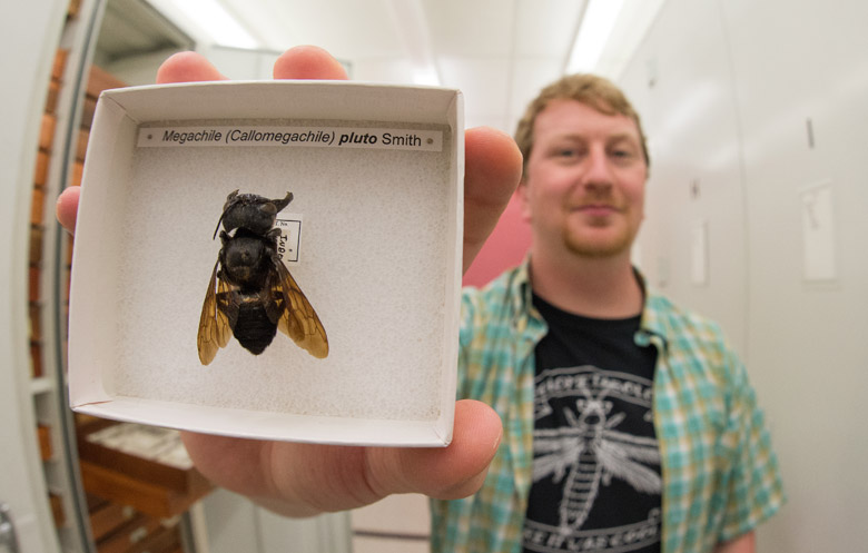 Most "lost species" sought by a conservation project | Guinness World ...