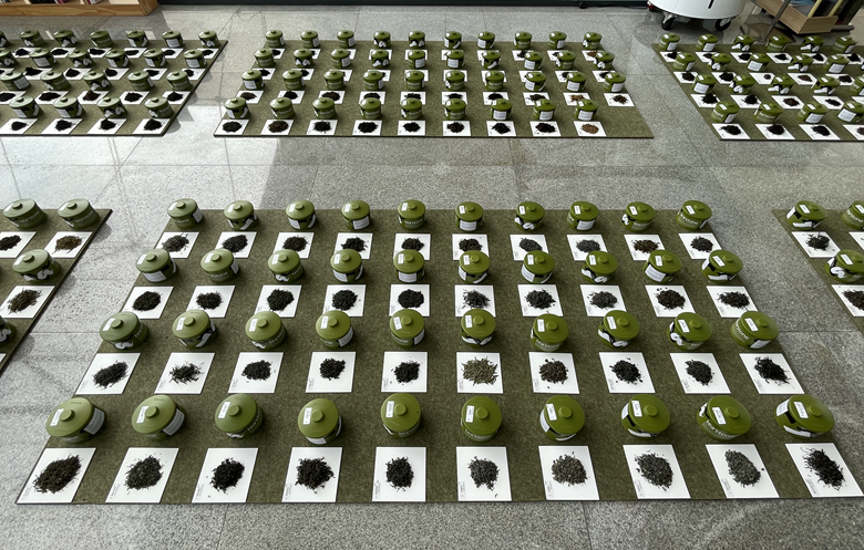 Largest display of tea varieties | Guinness World Records