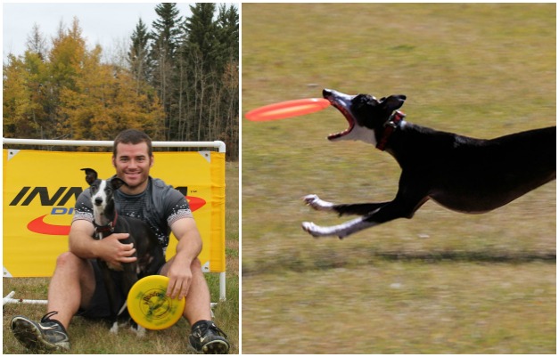 Farthest flying disc throw caught by a dog | Guinness World Records