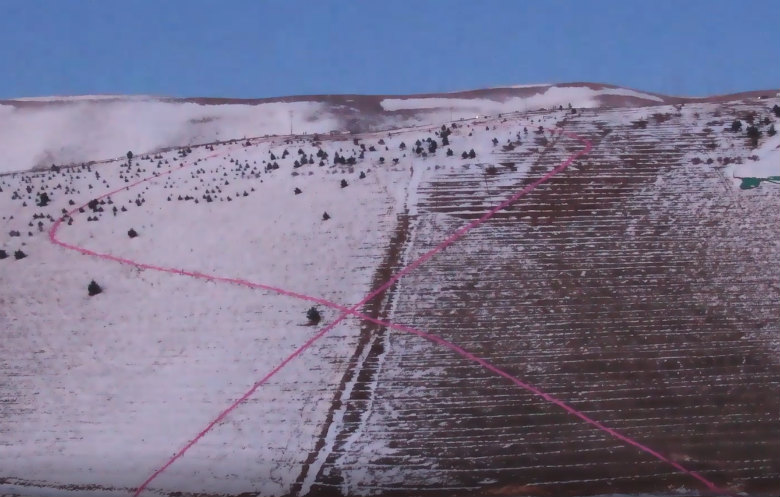 Longest awareness ribbon | Guinness World Records