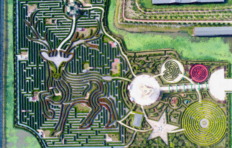 Largest pathway network in a hedge maze (permanent) | Guinness World ...